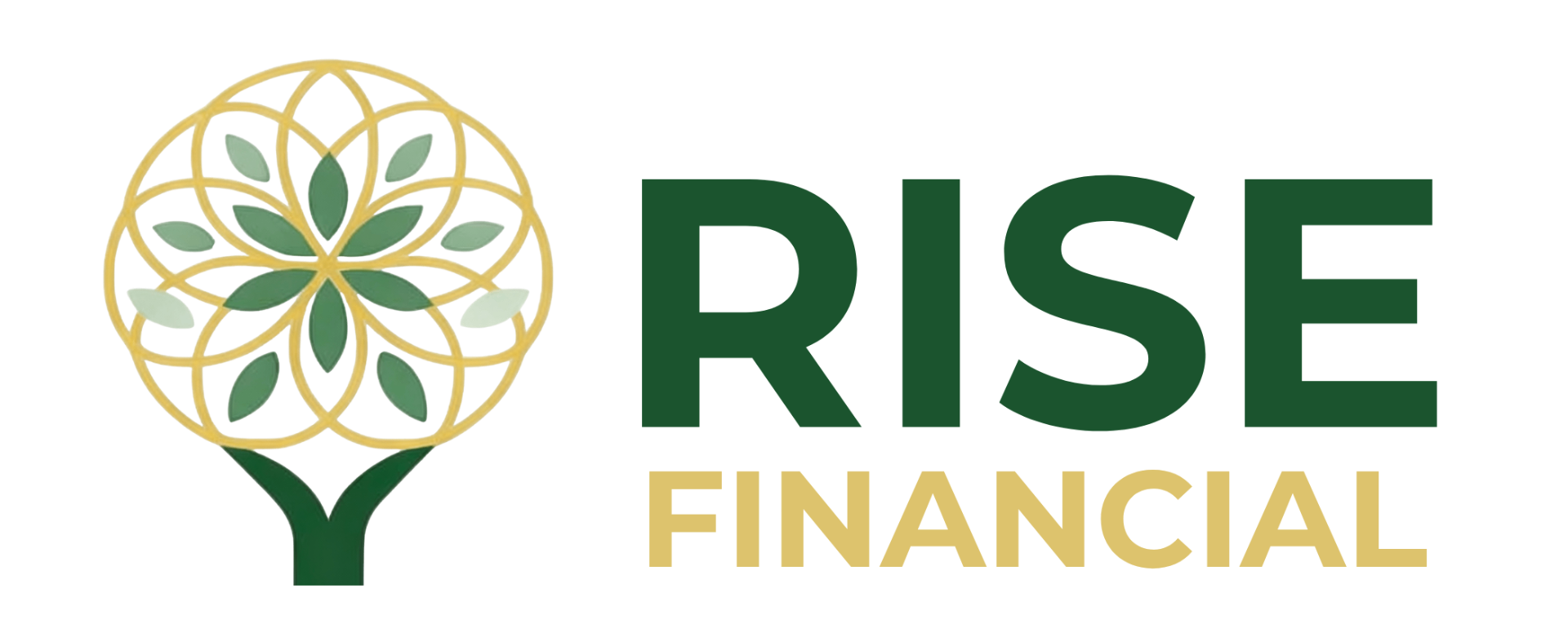 Rise Financial - Credit Repair, Business Funding & Financial Education